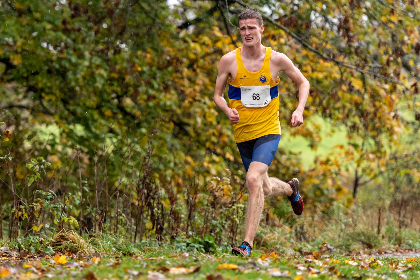 Giffnock North sizzle in the drizzle – Giffnock North Athletics Club